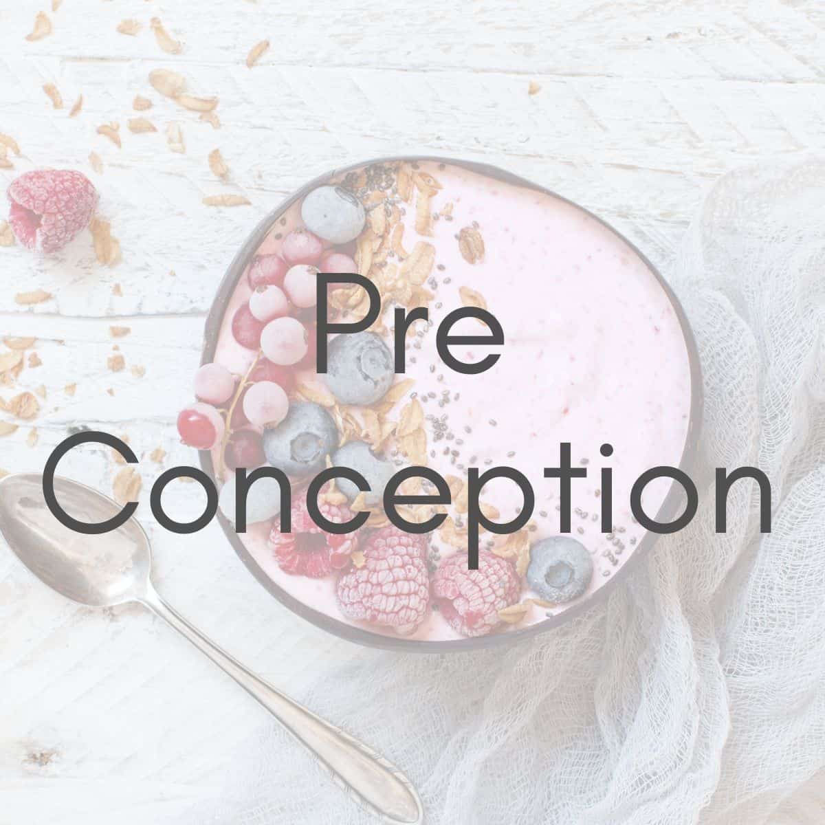 Preconception Meal Plan - Ryann, The Prenatal Nutritionist